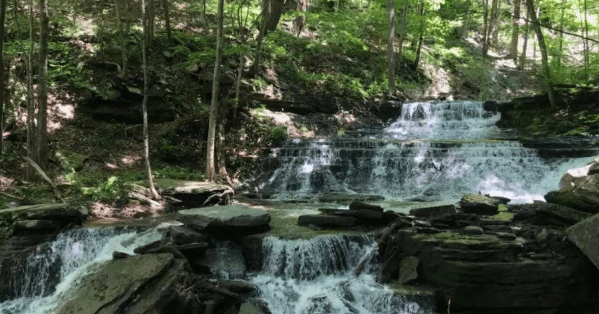 Turkey Path Trail In Pennsylvania Leads to Incredible Views