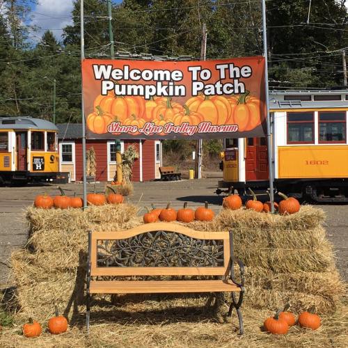 Best Trolley Ride In Connecticut: The Shore Line Trolley Museum
