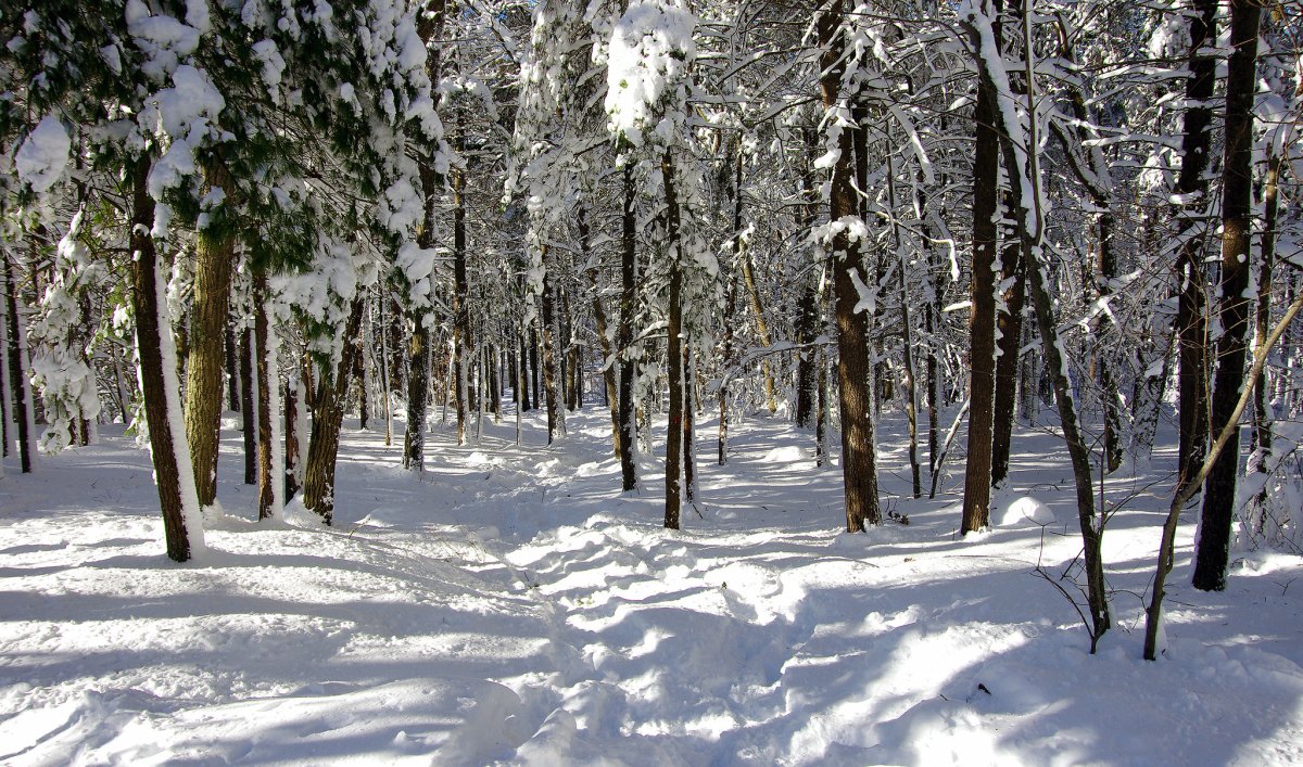 Take These 7 Best Winter Hikes Massachusetts This Year