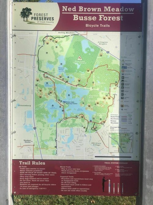 Embark On A Picturesque Hike On The Busse Woods Loop Trail In Illinois