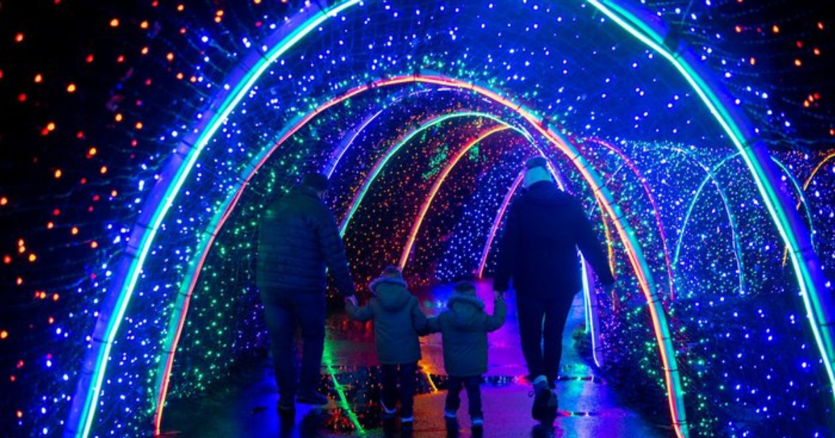 Walk Through 700,000 Holiday Lights At Zoolights In Washington