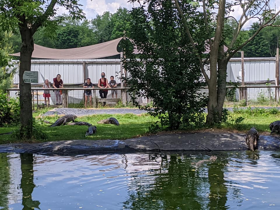 Not Many People Know About This Alligator Sanctuary Right Here In Michigan