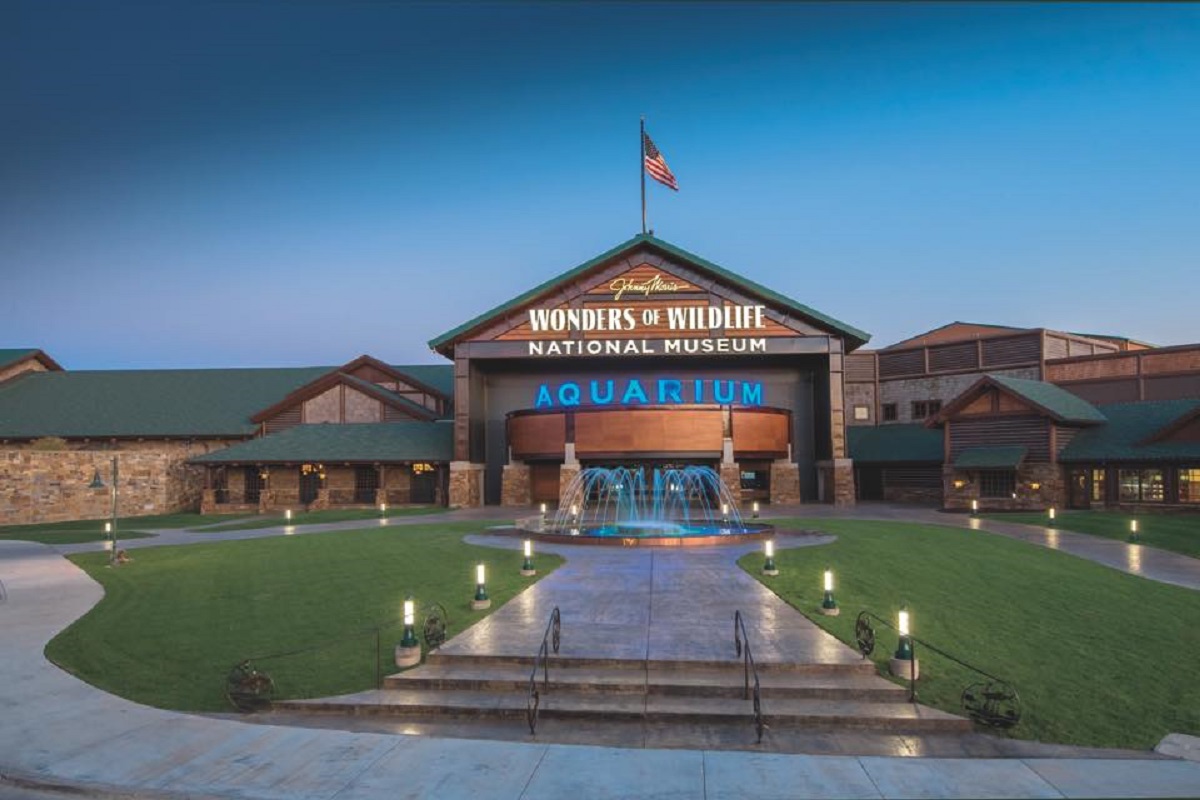 Go To Wonders Of Wildlife To Swim With The Sharks In Missouri