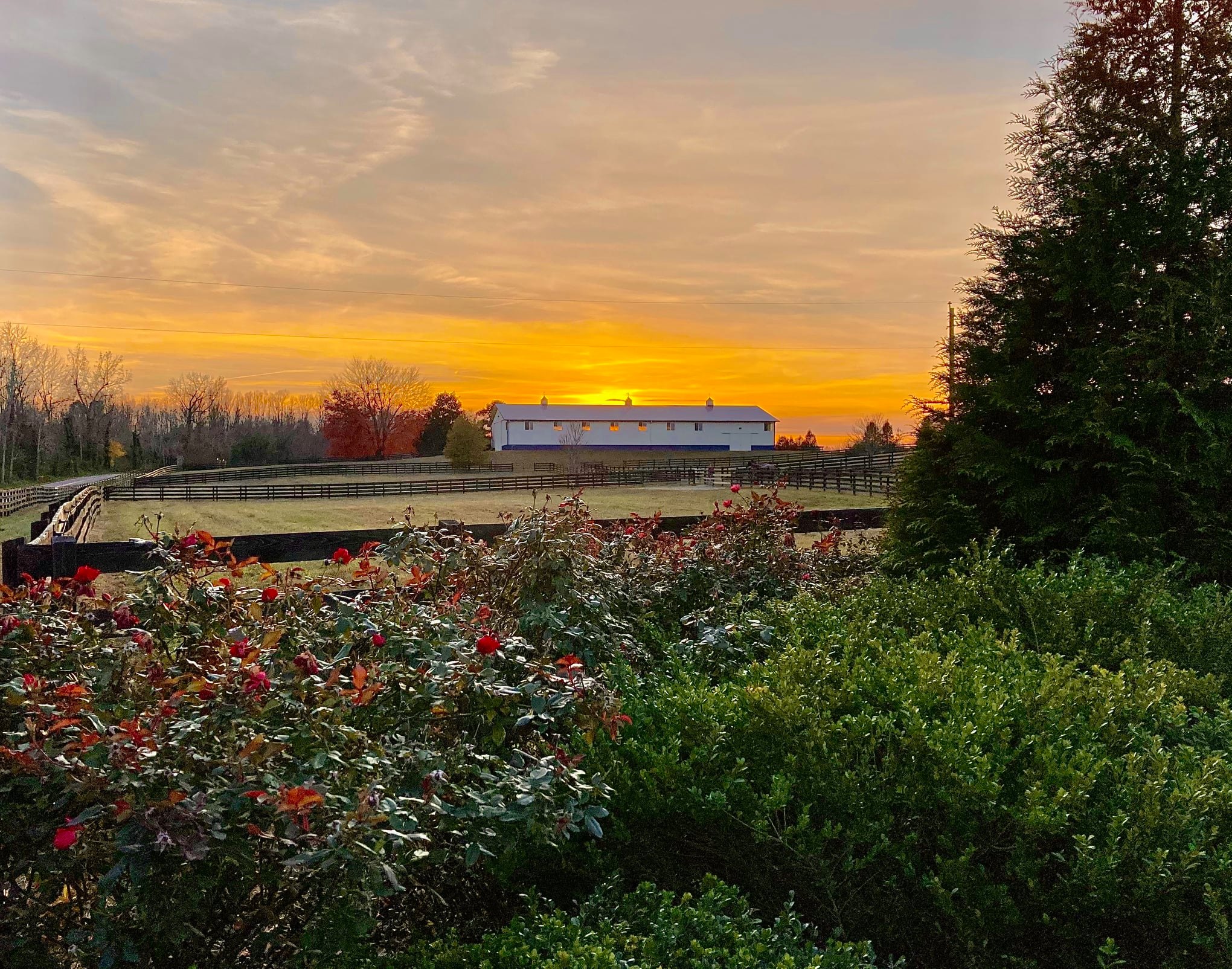 Spend A Lovely Day At Gauthier Vineyard, A Family-Run Winery Located On ...