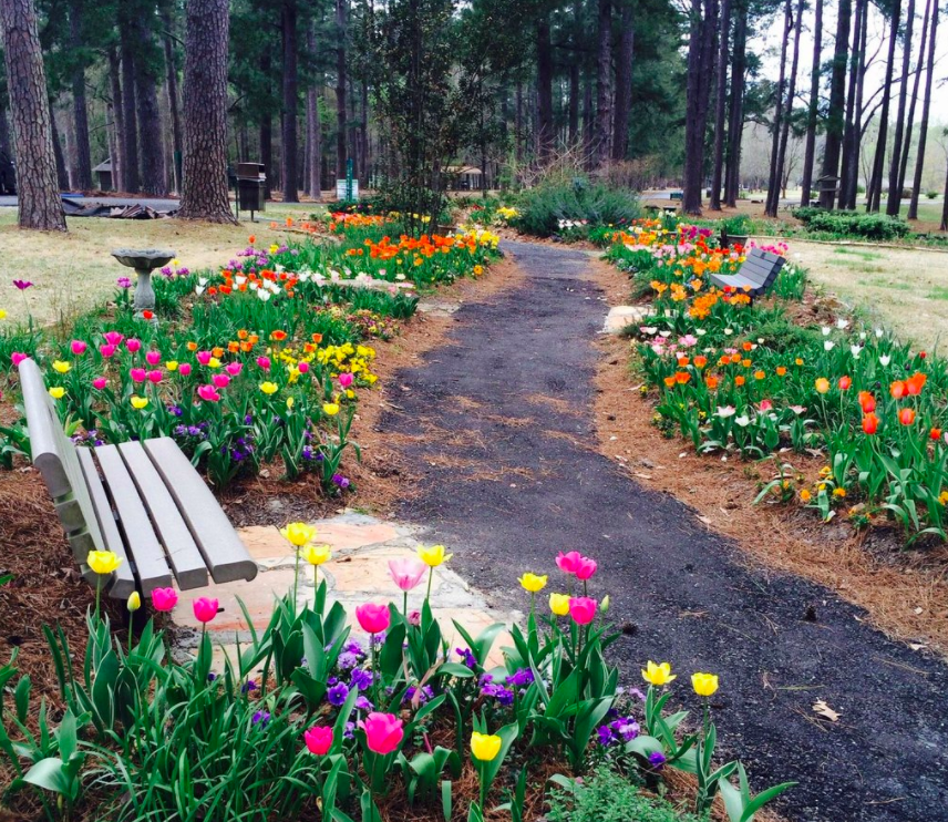 7 Beautiful Louisiana Parks To Visit During Springtime
