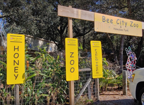 Road Trip Over To Bee City Zoo In South Carolina For Unique Animal ...