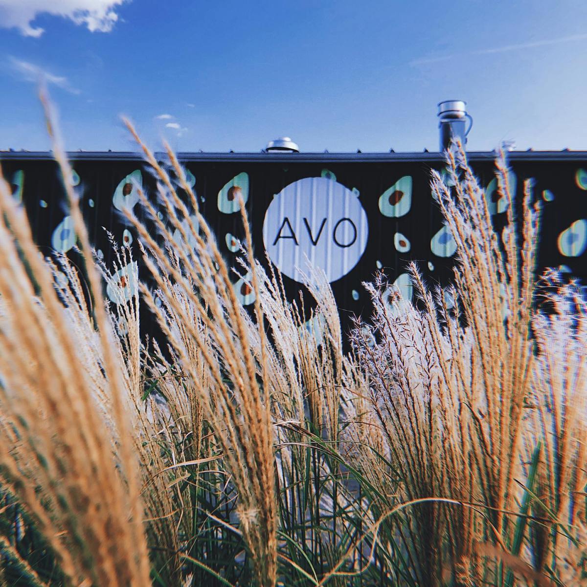 Start The New Year Off Right With A Healthy Meal From Avo In Nashville