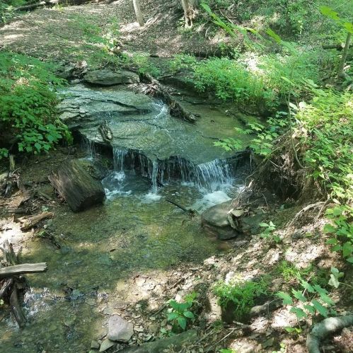 Fall Run Trail In Pennsylvania Boasts A Beautiful Waterfall