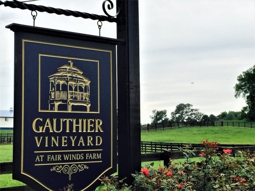 Sip Wine And Enjoy Wood-Fired Pizza At Gauthier Winery In Virginia