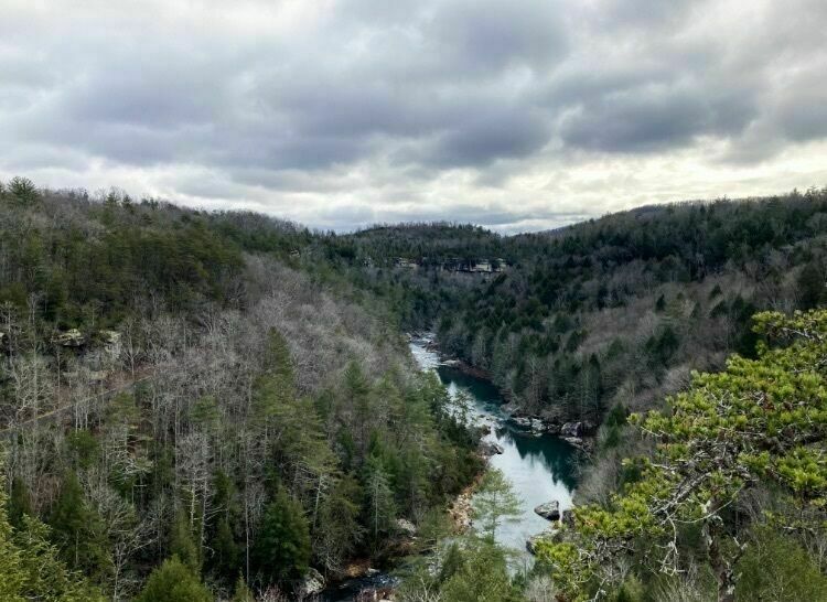 The Obed River Point Trail Offers Some Of The Most Secluded And ...