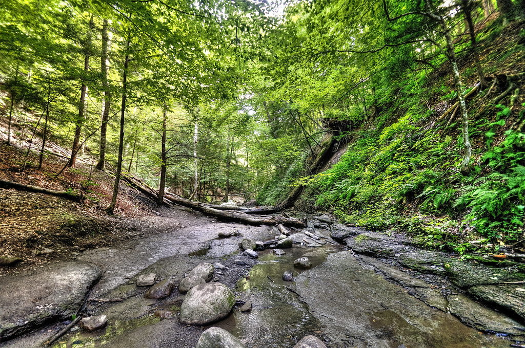 Chestnut Ridge Park Is A Beautiful, Must-Visit Destination In New York