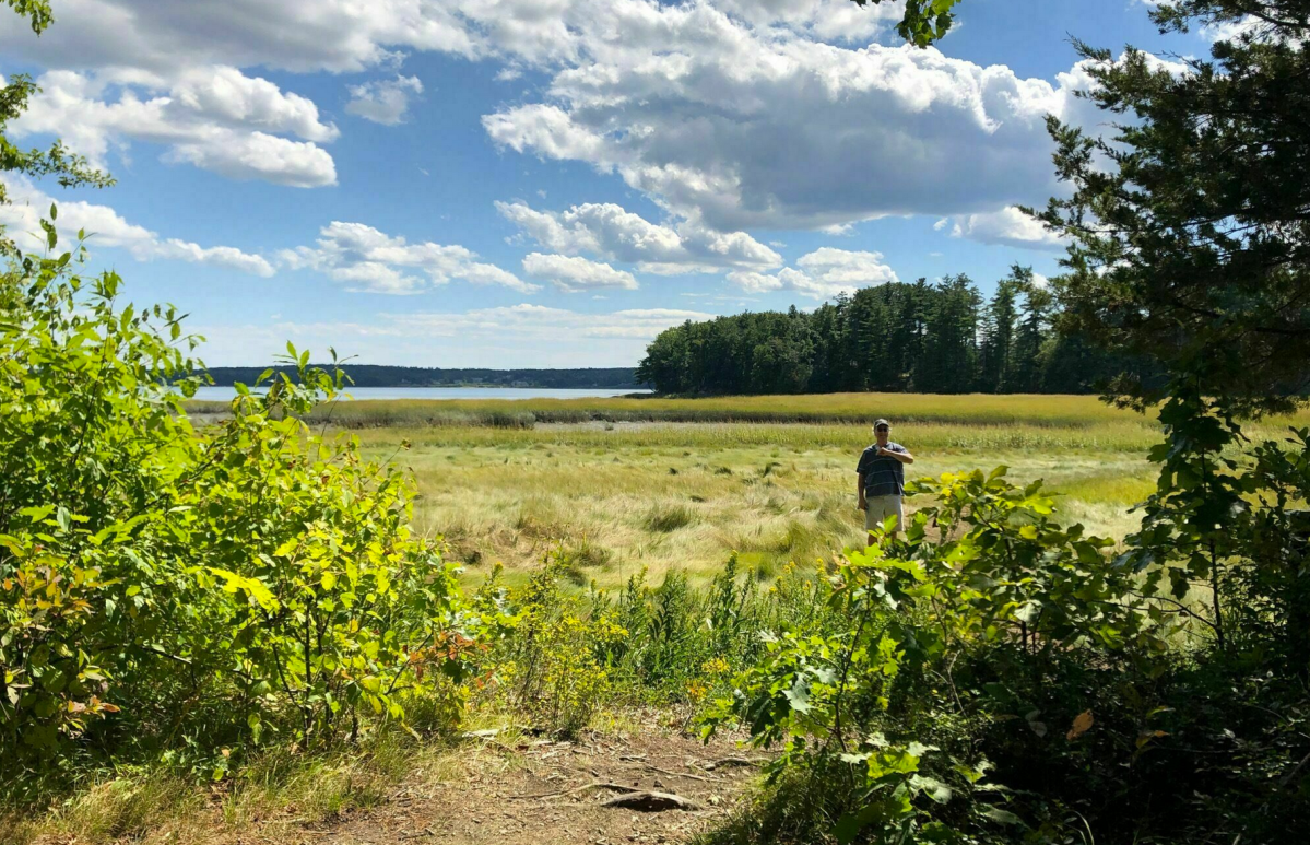 There Are Endless Scenic Views Along The Sweet Trail In New Hampshire