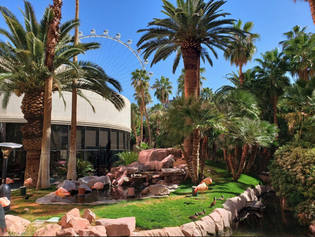 This 15-Acre Tropical Paradise In Nevada Is Filled With Flamingos