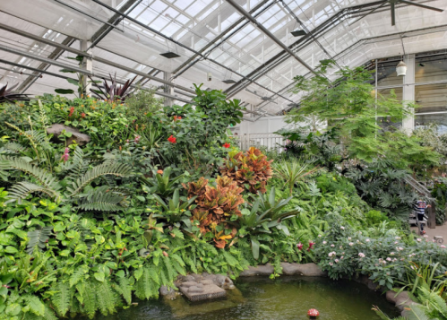 Butterfly Biosphere: The Largest Butterfly House In Utah