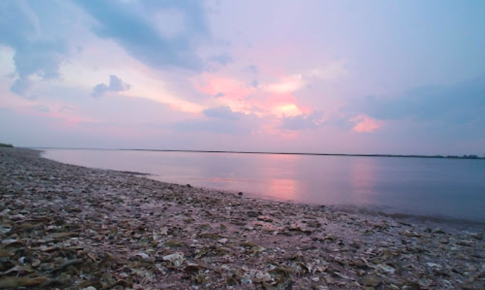 Hunt For Prehistoric Fossils When You Visit Shark Tooth Beach In Georgia