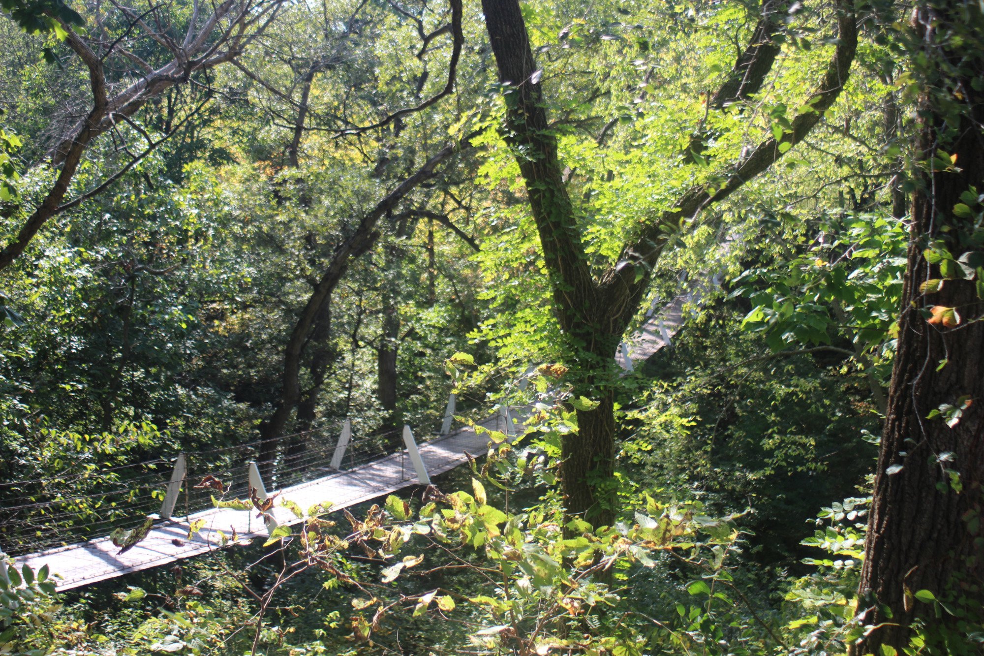 Walk Across A 262-Foot Suspension Bridge Over A Deep Ravine In Iowa
