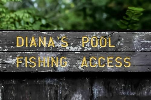 You’ll Want To Spend All Day At Diana's Pool, A Waterfall-Fed Pool In CT