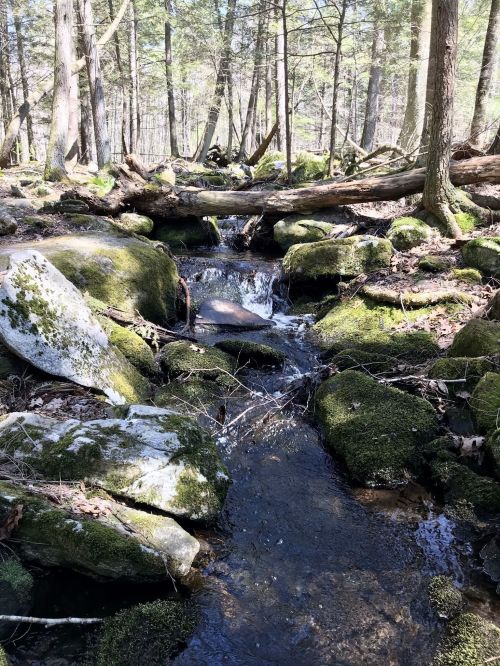 You’ll Want To Spend All Day At Diana's Pool, A Waterfall-Fed Pool In CT