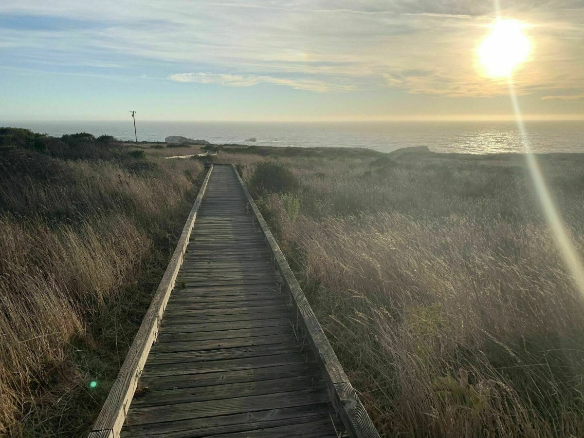 The Kortum Trail Is An Idyllic Coastal Hike In Northern California