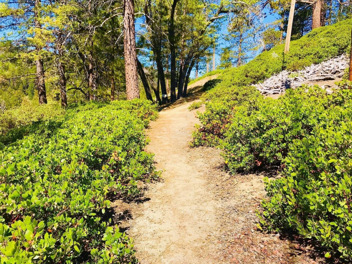 The Short And Sweet Hiking Trail In Southern California That Is ...