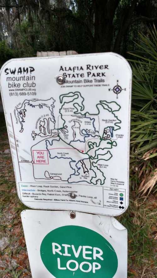 Alafia River State Park In Florida Is Perfect For Any Nature Lover