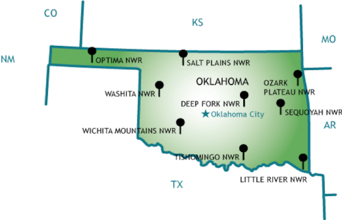 Explore 10,000-Acres Of Hardwood Forests, Wetlands, And Prairie In The ...