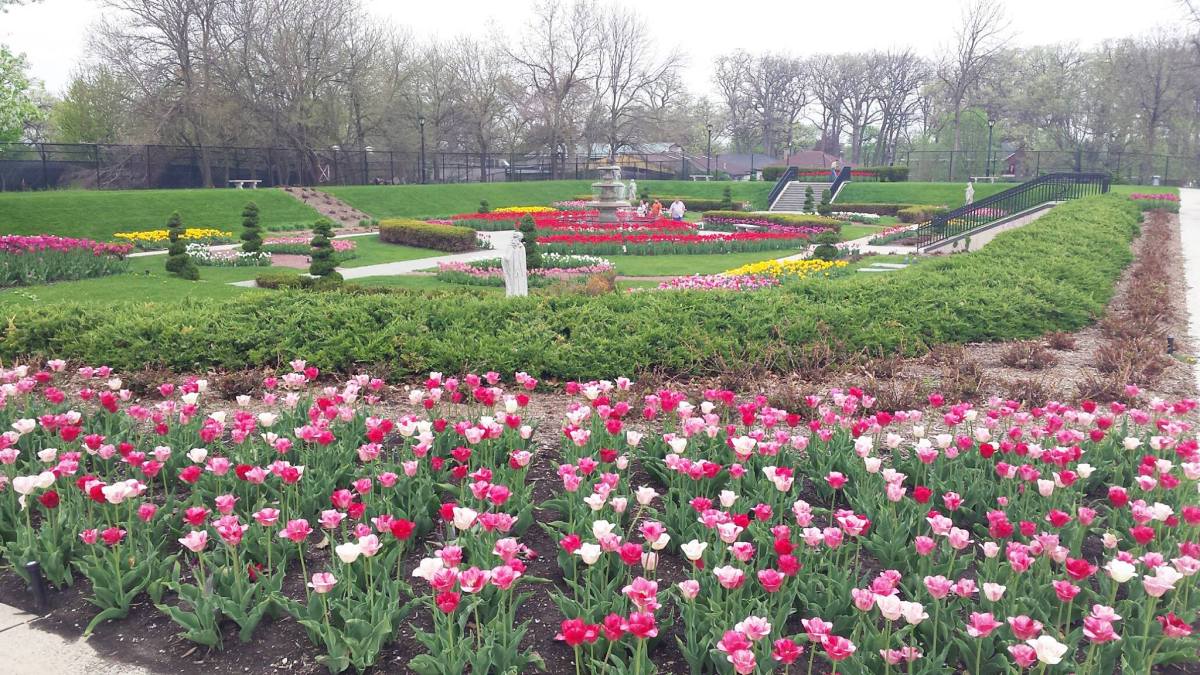 See The Beauty Of Spring At These Breathtaking Illinois Parks