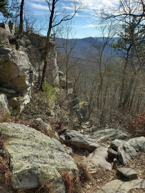 Most Scenic Rock Garden In Alabama: Rock Garden Trail, Delta