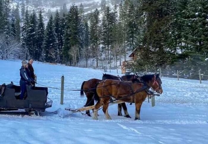 Take a Charming Ride Through Wintry Woods With A Sleigh Ride At Red ...