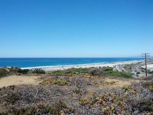 South Ponto Beach Is A Beautiful Escape In Southern California