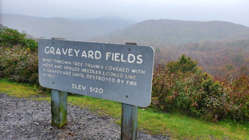 Hike The Gorgeous 2.9-Mile Graveyard Fields Loop Trail In North Carolina