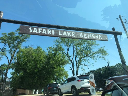 Go On A Drive-Thru Safari At Safari Lake Geneva In Wisconsin