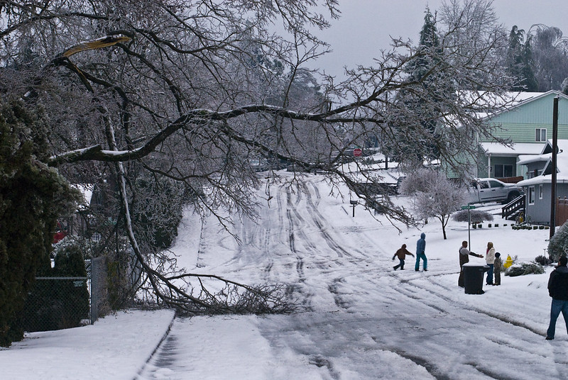 Oregonians Experienced a Trio of Storms in 2008 with Record Snow