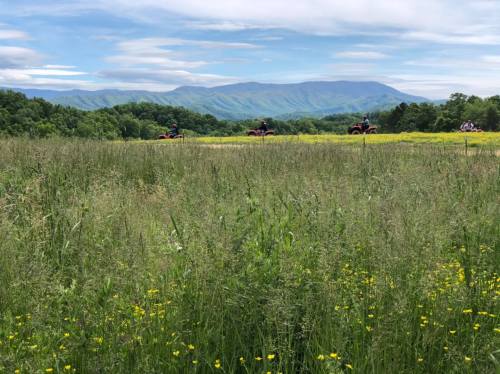 Jayell Horse Ranch: Horseback Tours Of Smoky Mountains In Tennessee