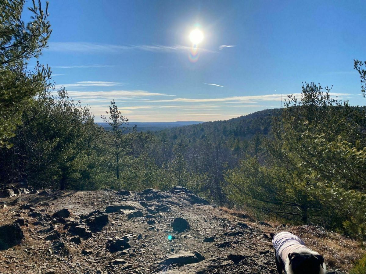 Explore The Blue Hills Reservation On The Skyline Trail In Massachusetts