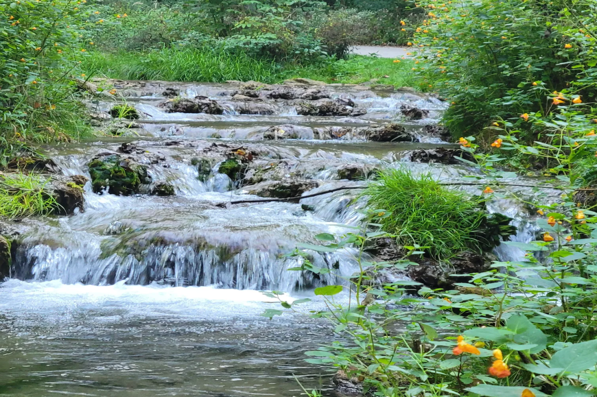 The Best Waterfall Road Trip in Iowa Takes You to 8 Cascades