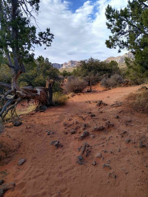Lava Flow Overlook Trail: A Utah Trail With Interesting Views