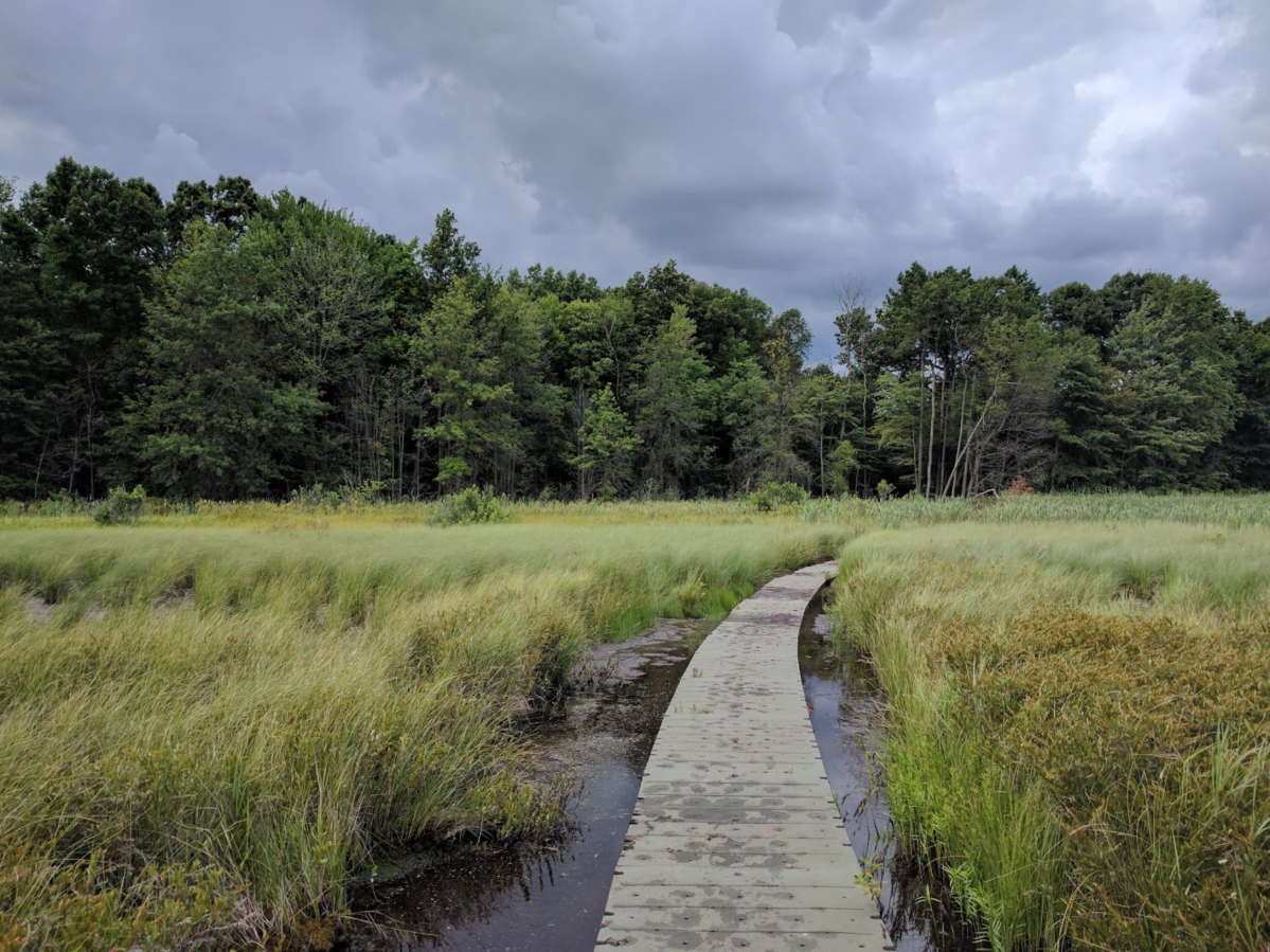 The Floating Trail At Bishop's Bog Is A Natural Gem In Michigan