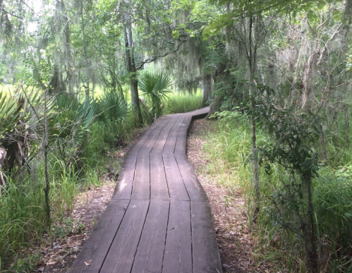 Explore A Unique Side Of Louisiana On The Old Barataria Trail