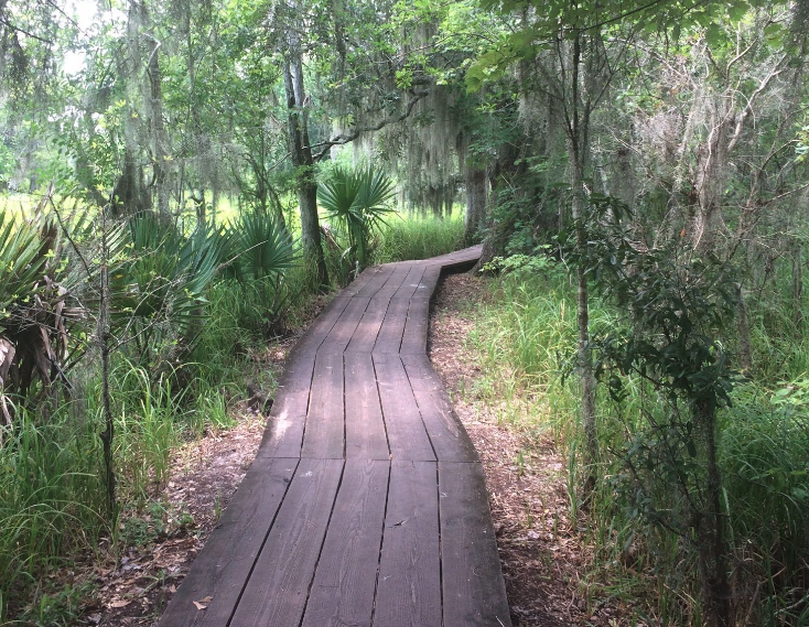 Explore A Unique Side Of Louisiana On The Old Barataria Trail