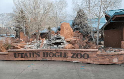 Visit Utah's Hogle Zoo This Winter For A Unique Experience