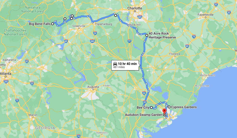 Take This Road Trip To Discover Hidden Gems In South Carolina