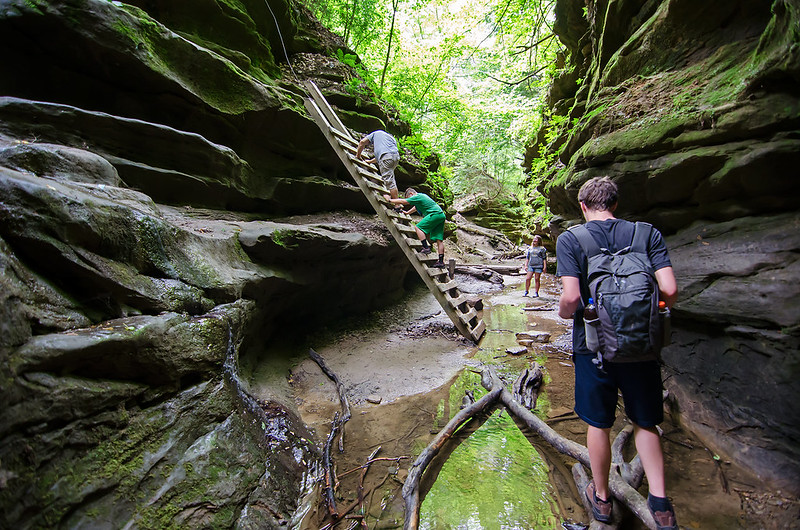 Trail 3 At Turkey Run State Park In Indiana Features Emerald Woods