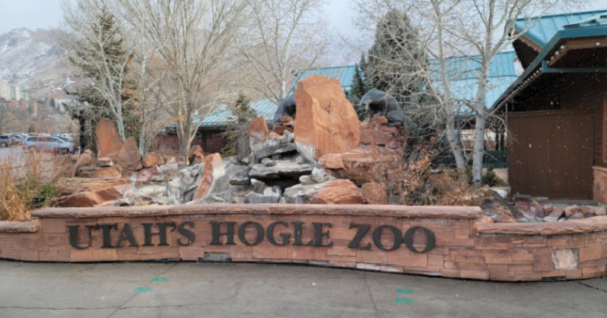 Visit Utah's Hogle Zoo This Winter For A Unique Experience