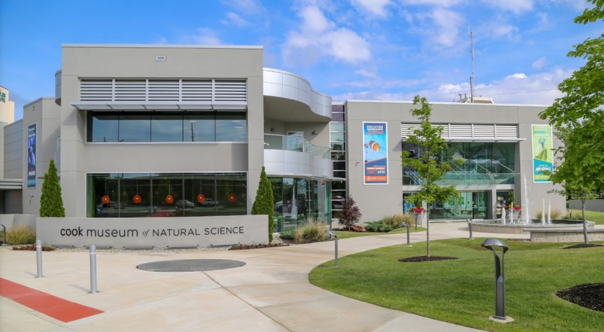 Cook Museum Of Natural Science: Best Science Museum In Alabama