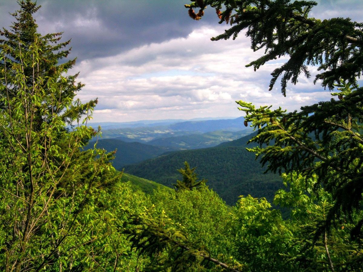 Mount Porte Crayon Might Be The Wildest Peak In West Virginia