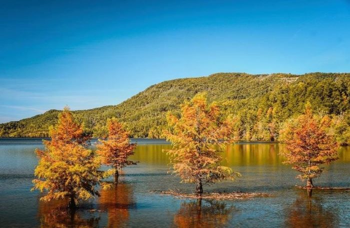 Visit Cleveland, Tennessee For A Charming Weekend Trip