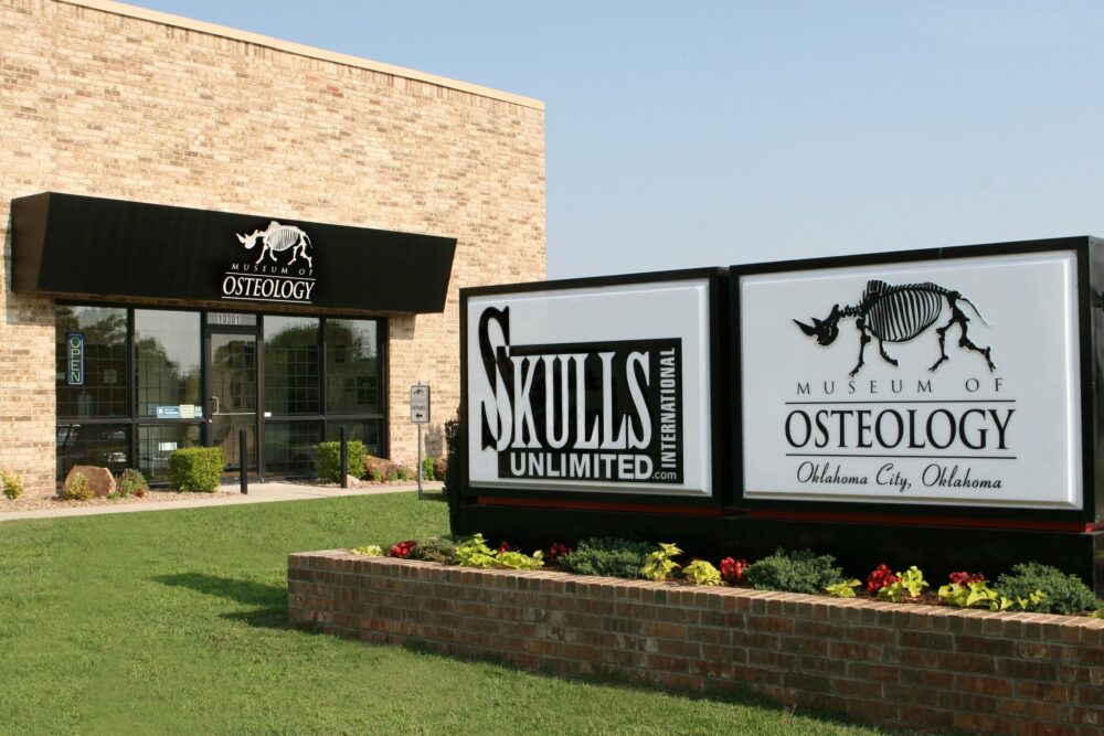 Take A Trip To Oklahoma's Museum Of Osteology, The Only Skeleton Museum ...