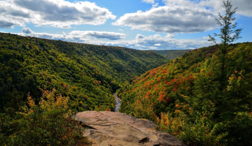 See West Virginia's Beauty At Pendleton Overlook Near Blackwater Falls
