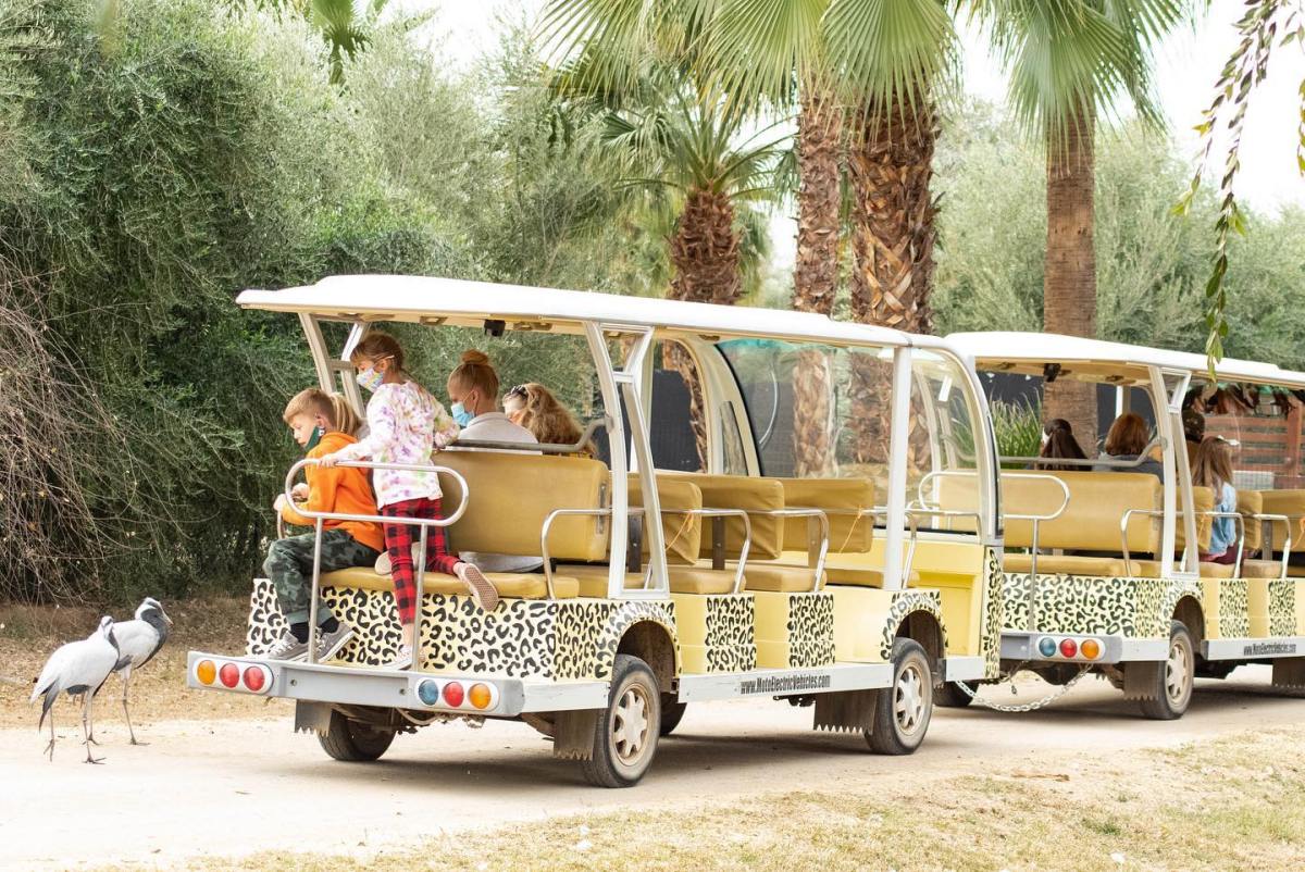 Go On A Safari Ride At Wildlife World Zoo In Arizona
